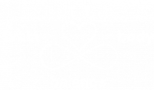 Body'n Brain - Brain Body Balance